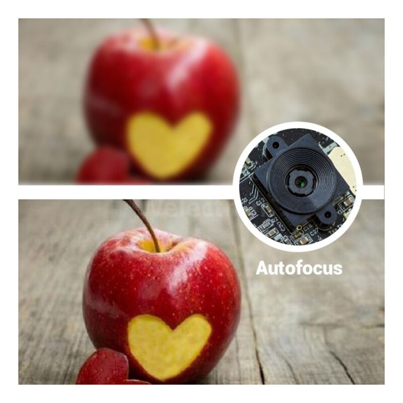 Arducam B0197 8MP 1080P Auto Focus USB Camera Module with Microphone,